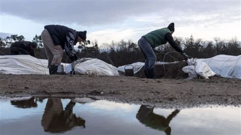 Германия забрани влизането на чужди сезонни работници Европа БНР Новини
