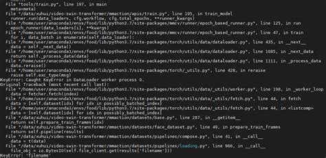 Keyerror Filename · Issue 26 · Swintransformer Video Swin Transformer · Github