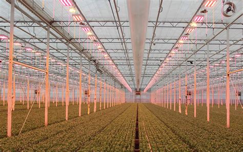 Uniform Communicatieprotocol Voor Aansturen LED Lampen Vakblad Onder Glas