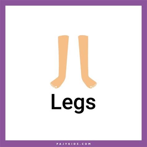 تعليم اجزاء الجسم للاطفال بالانجليزي Words Preschool Activities