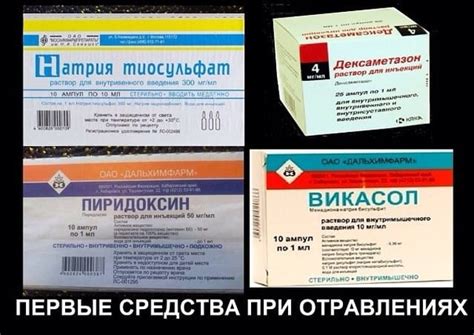 Чем отравить собаку быстро: Отрава для собак – чем травят, как ...