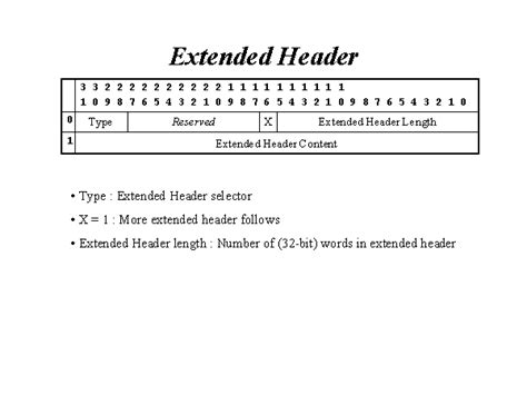 Extended Header