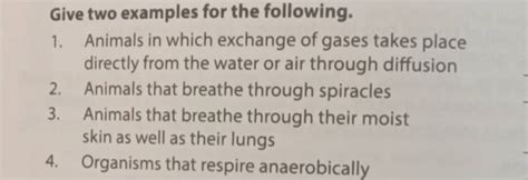 Give Two Examples For The Following Filo