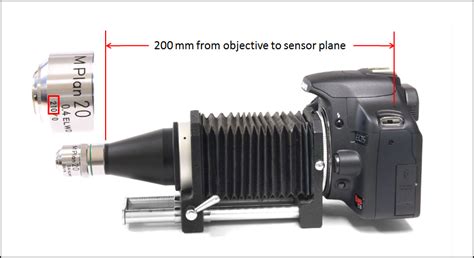 Faq How Can I Hook A Microscope Objective To My Camera