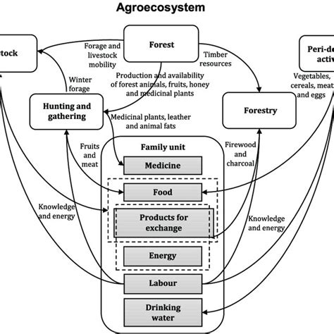 Management Practices Associated With Forest Sustainability White Download Scientific Diagram