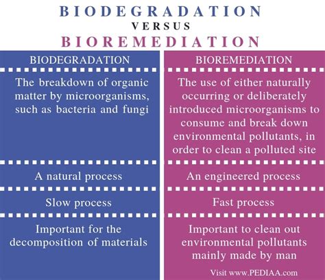 What Is The Difference Between Biodegradation And Bioremediation