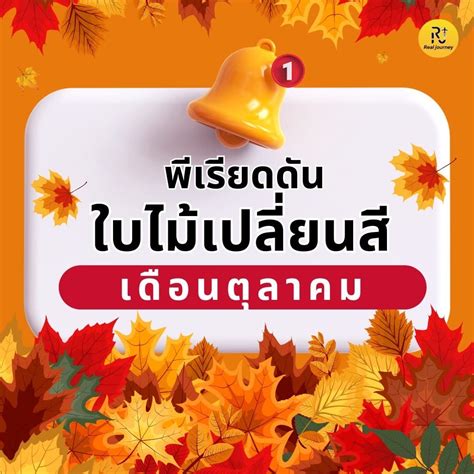 🍂 เที่ยวฮอกไกโด พัก โจซังเค ใบ้ไม้เปลี่ยนสี 🍂 ญี่ปุ่น ฮอกไกโด ใบไม้เปลี่ยนสี Rj Xj014