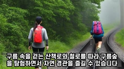 코스타리카여행 추천장소 Youtube