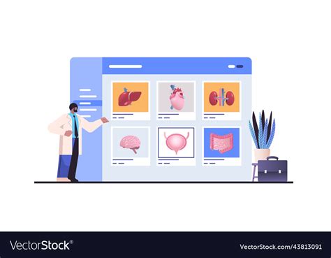 scientist examining anatomical human body internal