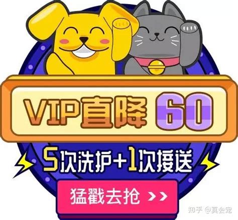 承包您家主子一个冬天的洗剪吹！解放铲屎官 知乎
