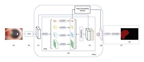 The Structures Of Pspnet And Phase Fusion Pspnet A Represents The