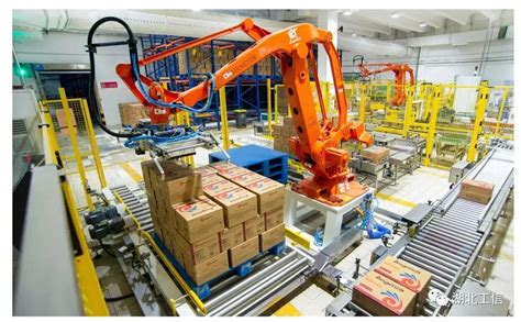 Must Read For Manufacturing Understanding Palletizing Robots Must Read For Manufacturing Understanding Palletizing Robots