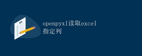 Openpyxl读取excel指定列极客教程