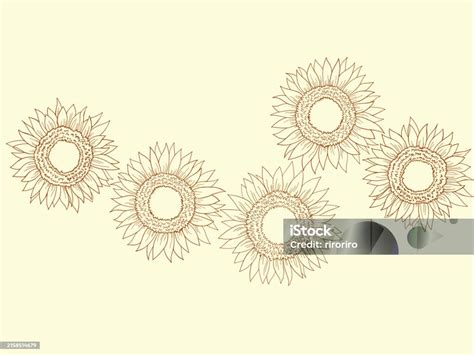 해바라기 그림 손으로 그린 벡터 그림입니다 흰색 배경입니다 0명에 대한 스톡 벡터 아트 및 기타 이미지 0명 계절 꽃 나무 Istock