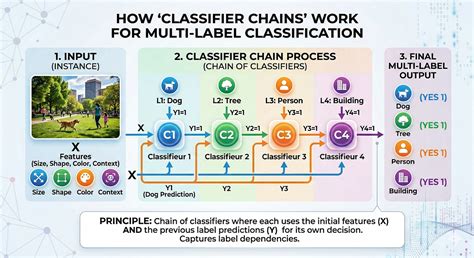 Multi Label Classification Of Algorithmic Exercises From Logistic
