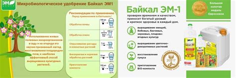 ЭМ технологии в садоводстве - органическое удобрение Байкал ЭМ-1