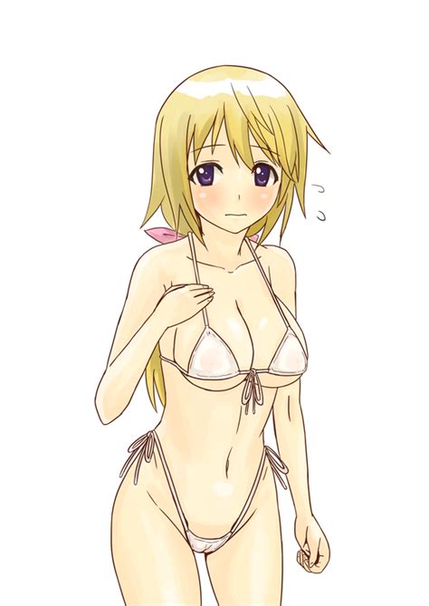 Charlotte Dunois Infinite Stratos Drawn By Swetasakerflc Danbooru