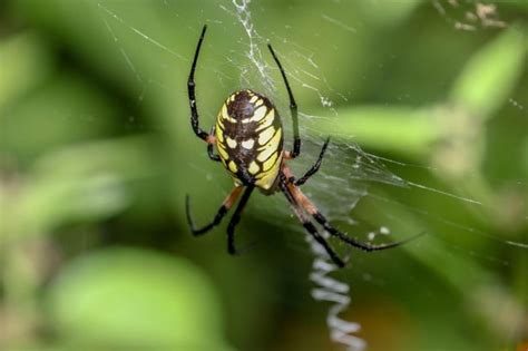 Top Tools And Frameworks For Smooth Cross Platform Application Development Kmf Blogs