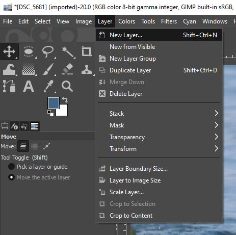 How To Remove A Watermark In GIMP Quick Methods
