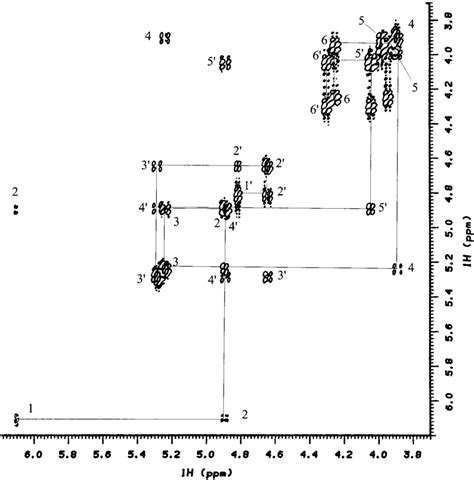 1 H 1 H Dqf Cosy Spectrum Of Cellobiose Octaacetate Download