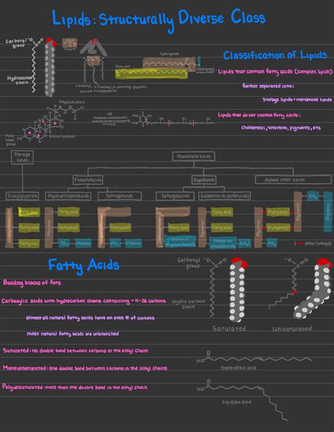 Module Lesson Lipid Structure And Nomenclature Lipids Structurally Diverse Class Carbons