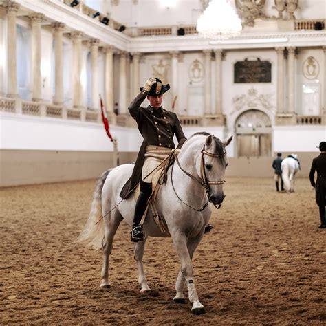 Hofburg And Spanish Riding School Hotel Sacher Vienna