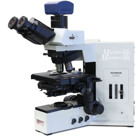 Differential Interference Contrast Martin Microscope