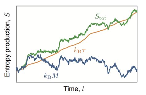Illustration Of The Decomposition Of Stochastic Entropy Production In