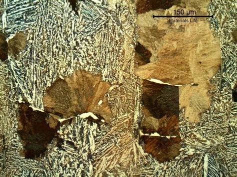 Color Metallography At Rs 3250sample Metallography Testing Work
