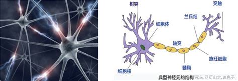 人工智能（5）：深度学习简介