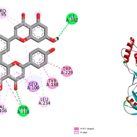 Displays The Docking Outcomes Of Hiv 1 Reverse Transcriptase In