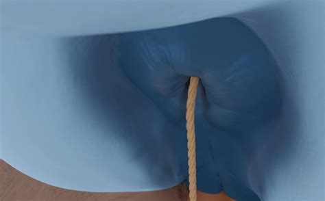 Rainbow Dash Anal Vore With Scat En Anglais