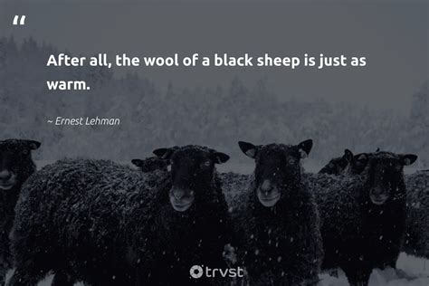 76 Black Color Quotes Reflecting On Dark Muted Tones 2025