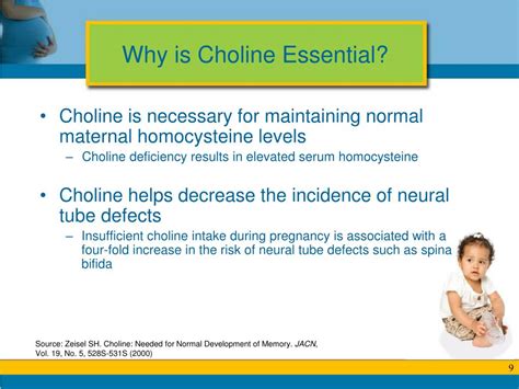 Ppt The Choline Connection A Healthcare Professionals Guide To Choline Fetal Development