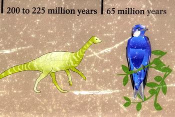 Living Fossils Cannot Be Old CEH