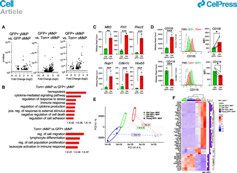 Figure 2 From An Age Progressive Platelet Differentiation Path From Hematopoietic Stem Cells