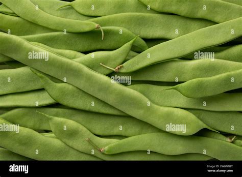 Fresh Raw Green Flat Beans Full Frame Close Up As Background Stock