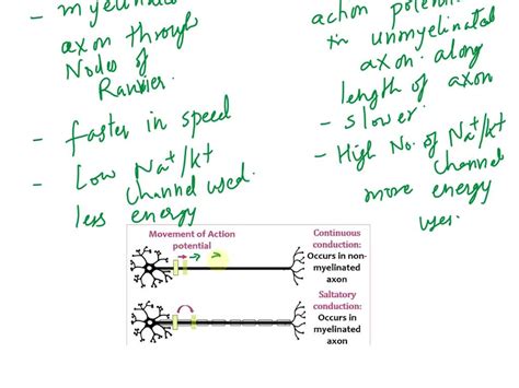 solved give 5 differences between continuous propagation and saltatory