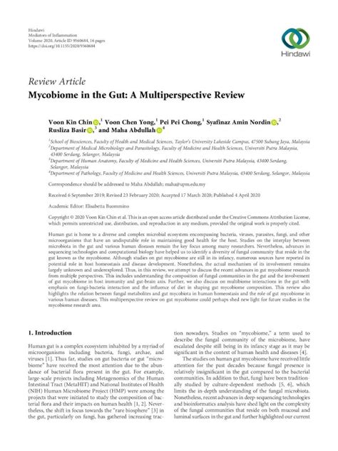 Pdf Review Article Mycobiome In The Gut