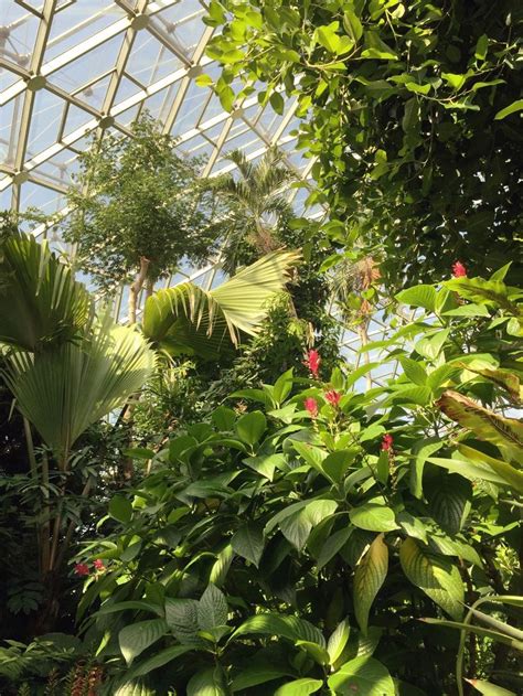 Explore Missouri Botanical Garden In St Louis Traveldaze