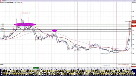 세명전기 제일전기공업 대원전선 광명전기 바이넥스 Hb솔루션 리노공업 한미반도체 와이씨 동일기연 금양 삼성전자 타이거일렉 대원전선우 계양전기 등