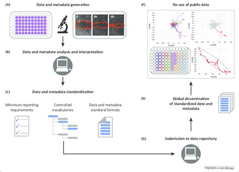 An Example Of An Experimental Workflow In The Open Data Ecosystem A