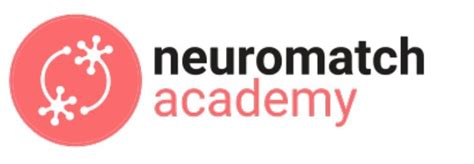 Neuromatch A Summer School For Computational Neuroscience And Deep