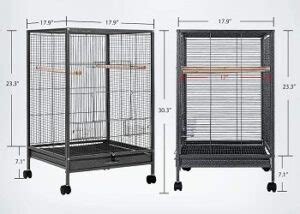 Best 6 Green Cheek Conure Cages That Come In Optimal Size