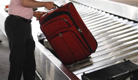 СМИ В России изменят правила провоза фруктов овощей и цветов через границу