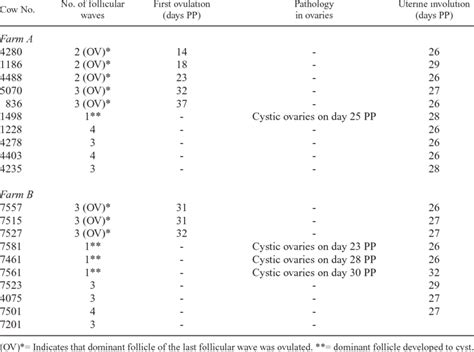 characteristics of follicular dynamics and uterine involution length in