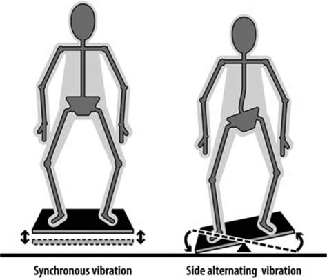 Direction Of Vibration Movement During Vertical And Side Alternating Download Scientific