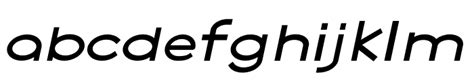 NEOGEO NORMAL REGULAR ITALIC Font Sans Serif Modern What Font Is