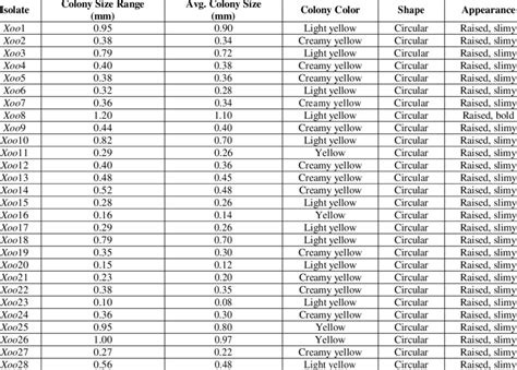 Morphological Characteristics Of The Xanthomonas Oryzae Pv Oryzae Download Scientific Diagram