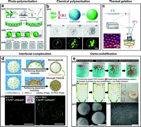 Emerging Aqueous Two Phase Systems From Fundamentals Of Interfaces To Biomedical Applications